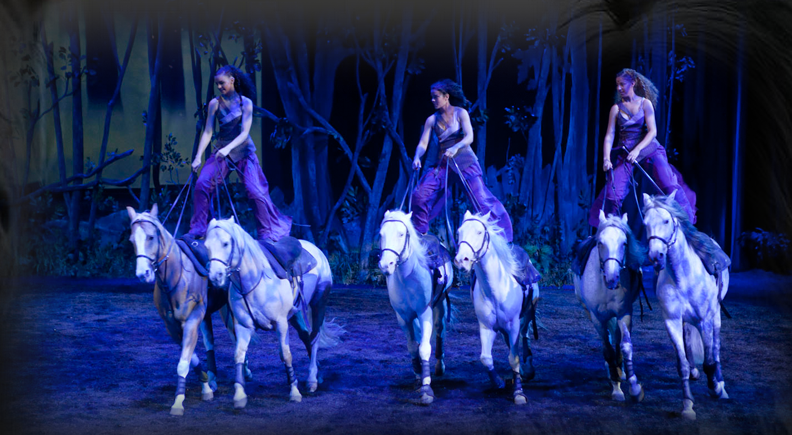 Cavalia: soirée VIP et visite des coulisses - Le Cahier