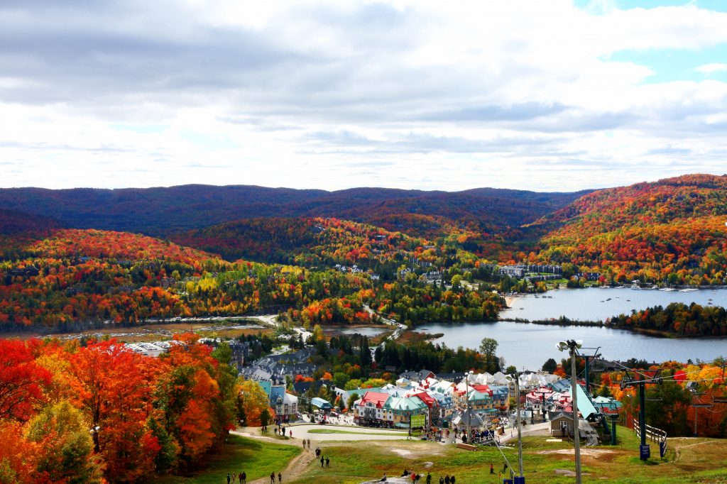 L'été à Tremblant - Le Cahier