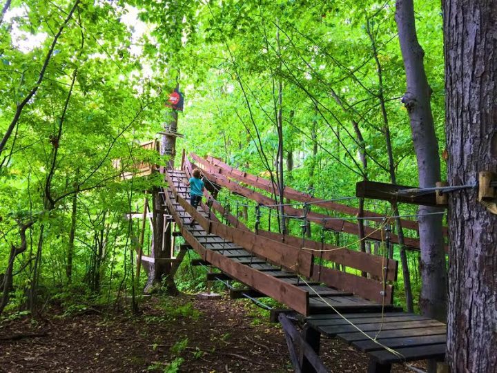Verger Labonté : Des labyrinthes pas comme les autres - Le Cahier