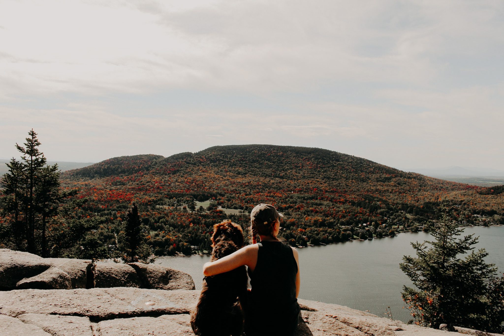 6 randonnées permises aux chiens à ajouter sur ta liste - Le Cahier